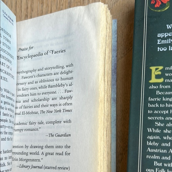 Other | Emily Wildes Map Of The Otherlands Book | Poshmark
